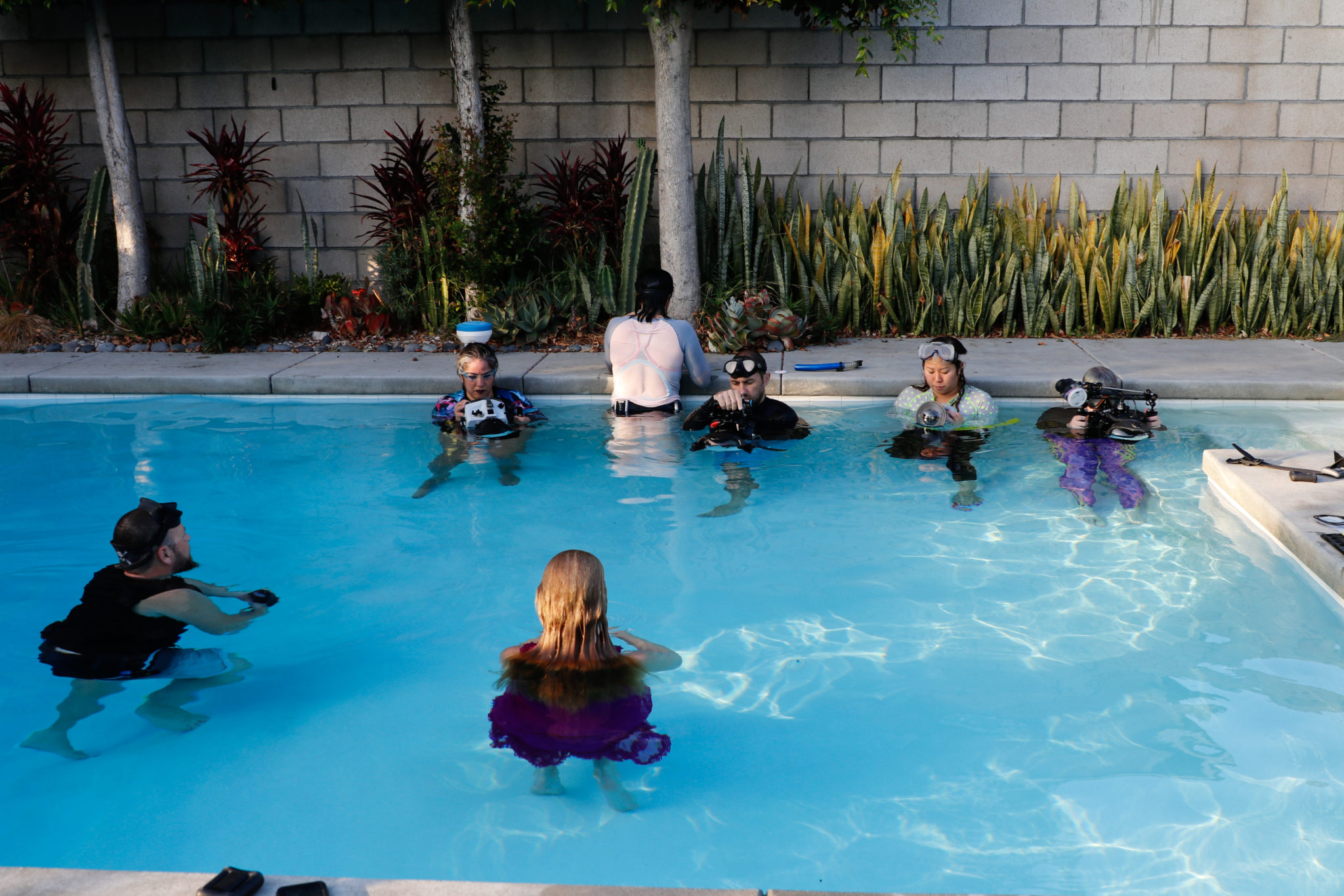 Underwater Studio Photography Workshop - Sydney • Brett Stanley - The Underwater Photographer