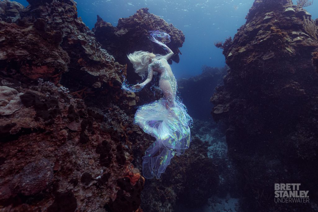 News • Brett Stanley - The Underwater Photographer