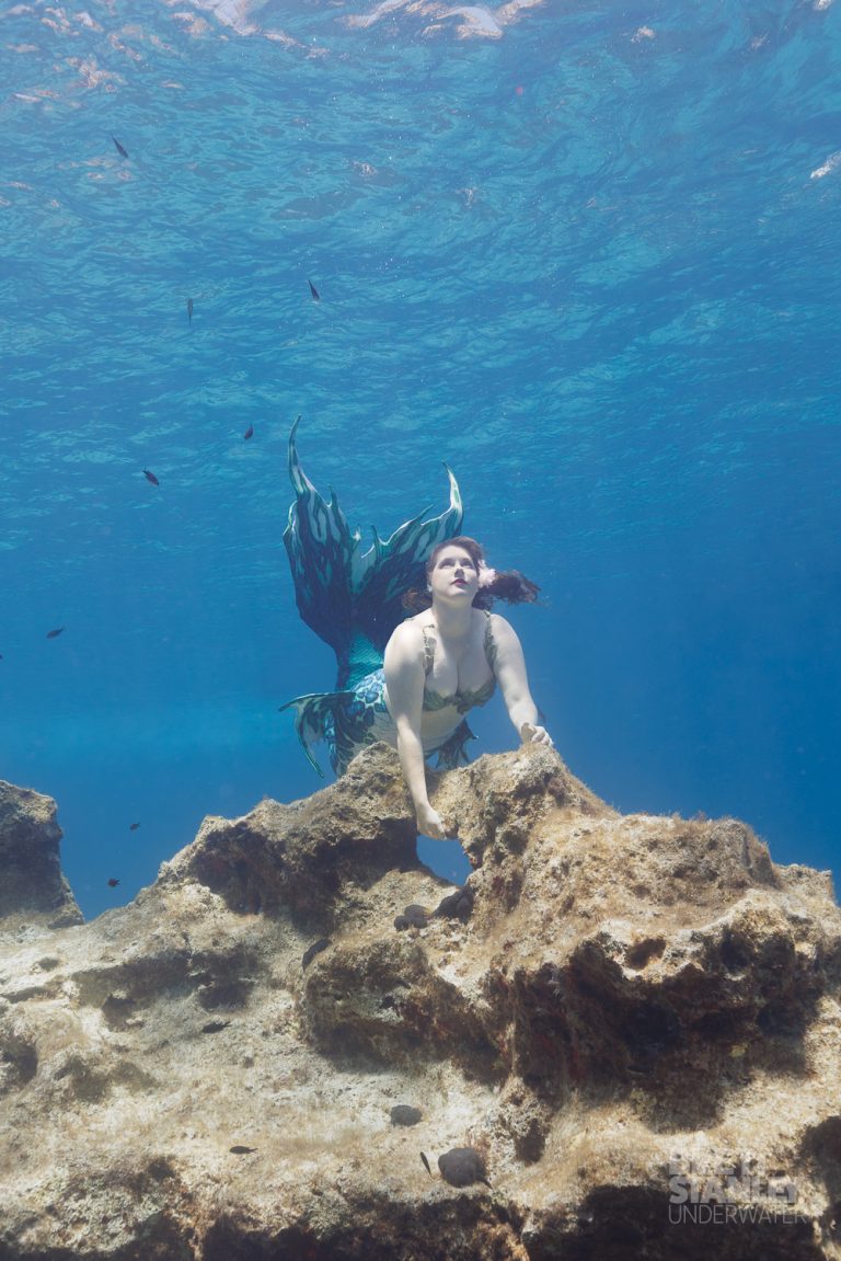 Merdreams Malta Retreat 2026 • Brett Stanley - The Underwater Photographer